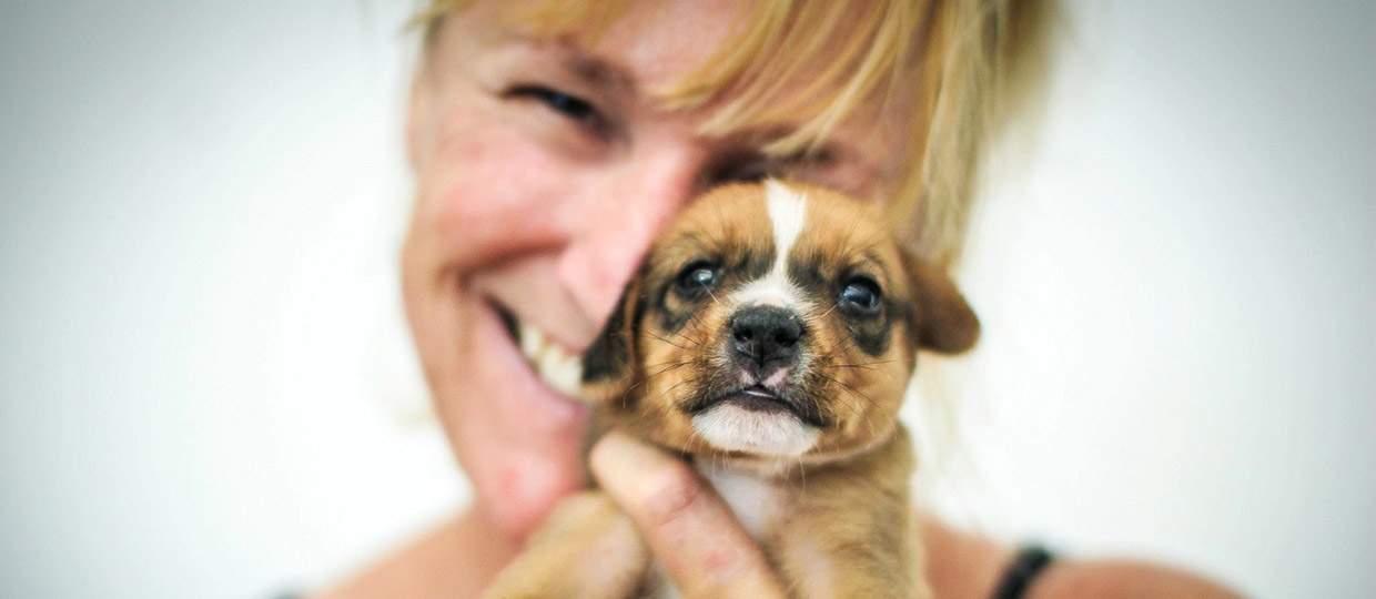 Isla Animals – Dog Rescue in Mexico – Caring Is Global